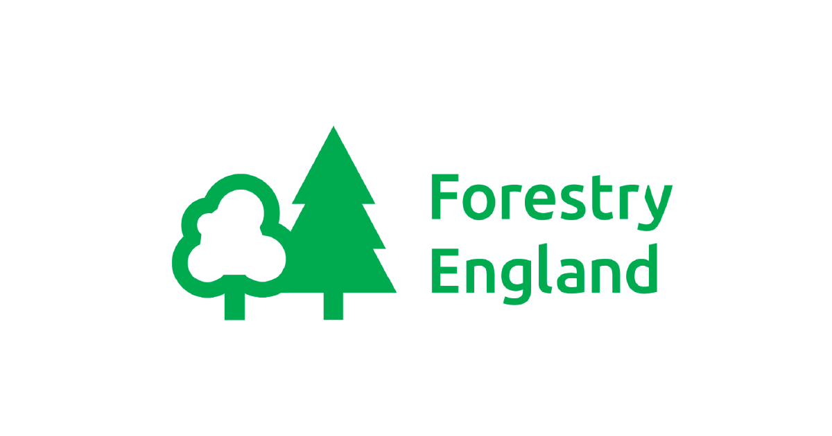 Land Agent | 12 July, 2024 | Jobs and careers with Forestry England